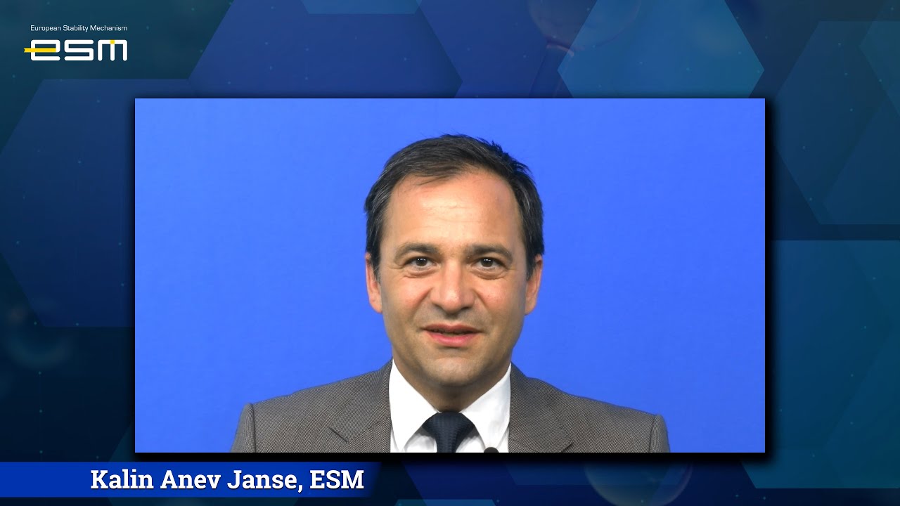 Kalin Anev Janse at BNP Global Official Institutions Conference ...